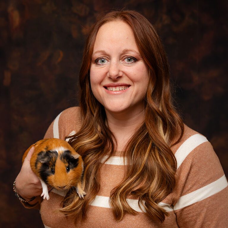 Our Veterinary Team in Dubuque, IA | PetMed of Key West Veterinary Clinic